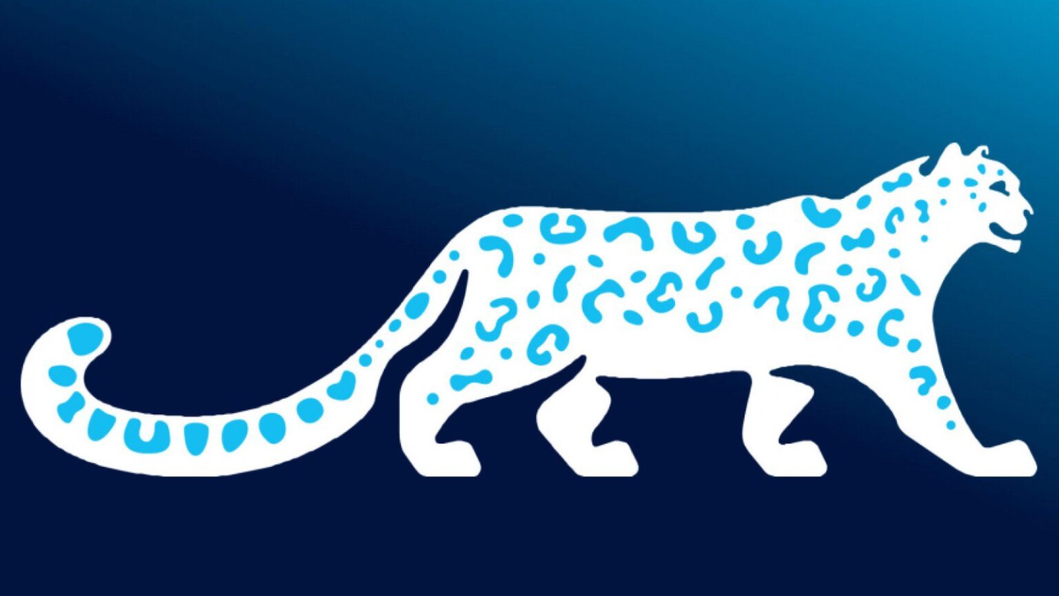 Kyrgyzstan Adopts Snow Leopard as National Symbol, Unveils Official ...