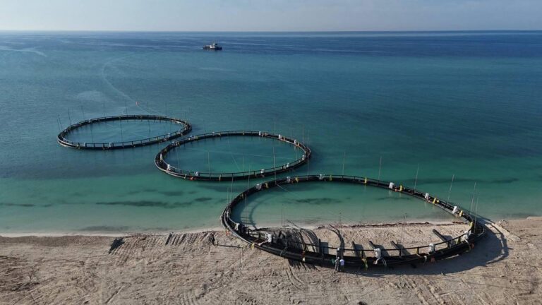 Kazakhstan’s Fish Production Continues Upward Trend - The Times Of ...