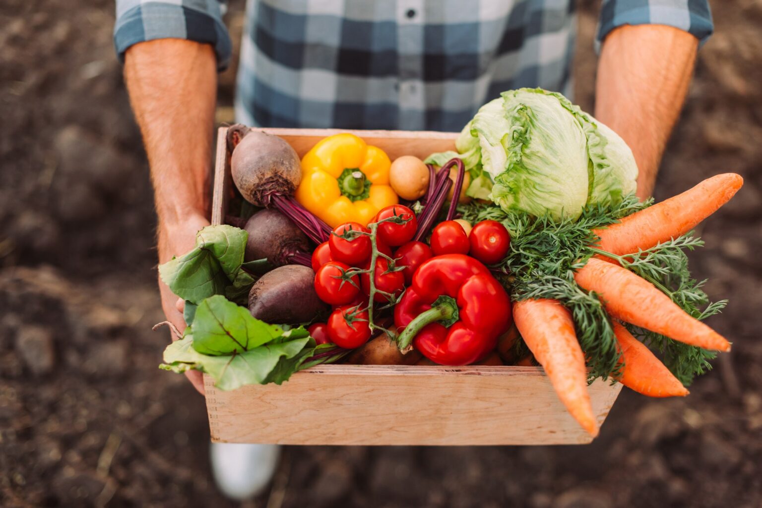 Kyrgyzstan Moves to Expand Organic Farming but Certification Barriers ...